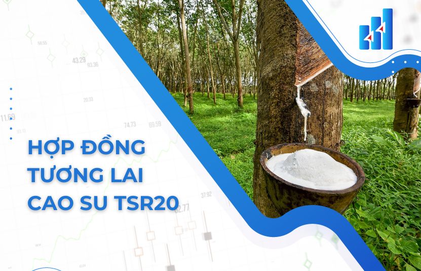 Chi tiết hợp đồng tương lai cao su TSR20
